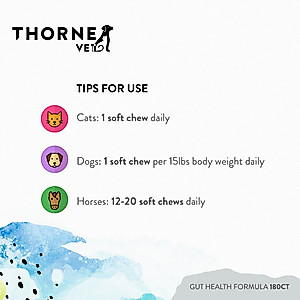 ThorneVet Gut Health Formula – Gastrointestinal Support for Dogs, Cats & Horses, 180 Soft Chews