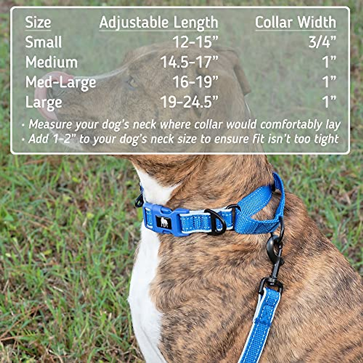 Leashboss Reflective Martingale Collar and 6 Ft Leash with Padded Handle, Medium Collar 14.5-17" Neck, Blue