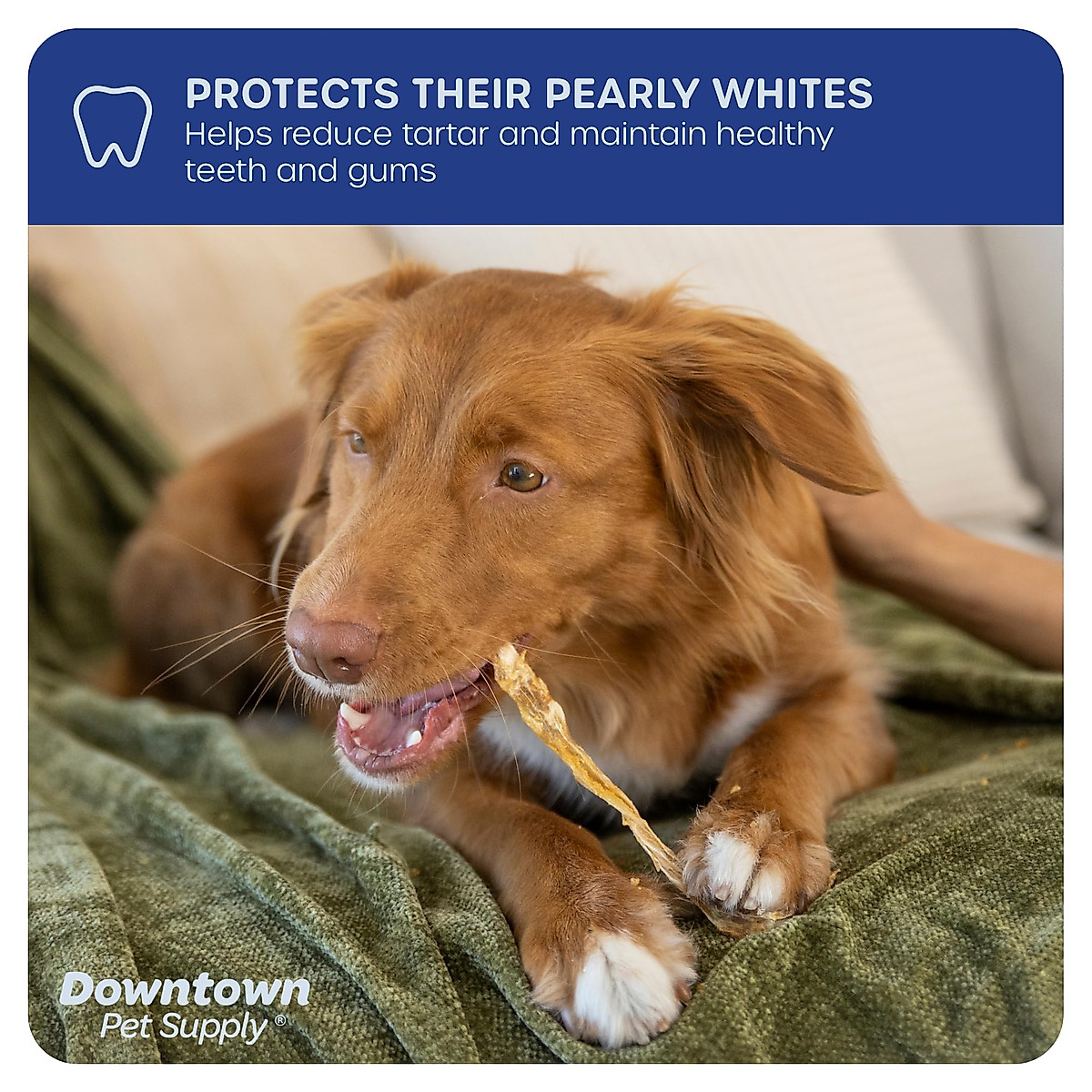 Downtown Pet Supply 12" Turkey Tendons for Dogs Made in USA, 10 Pack - Rawhide Free Dog Chews Long Lasting and Non-Splintering - Single Ingredient, Nutrient-Rich Tendon Chews for Dogs