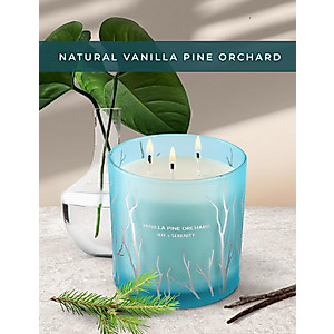 Vanilla Pine Apple Orchard Winter Candle - Natural Soy Pine Scented Candle 3 Wick - Christmas Fir Tree Holiday Scented Candle for Home 14.5 Oz - Large Relaxing Vanilla Candle Gift for Women & Men