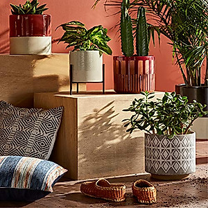 Amazon Brand - Rivet Geometric Ceramic Planter Cylindrical Pot, 8.6"H, Large, Gray