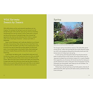 Northeast Foraging: 120 Wild and Flavorful Edibles from Beach Plums to Wineberries (Regional Foraging Series)