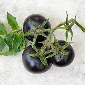 Black Cherry Tomato Seeds, 30 Seeds Sweet Tasty Tomato Plant for Garden