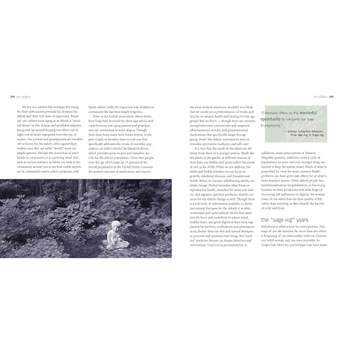 Rosemary Gladstar's Herbal Recipes for Vibrant Health: 175 Teas, Tonics, Oils, Salves, Tinctures, and Other Natural Remedies for the Entire Family