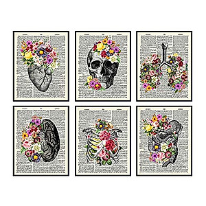 Medical Dictionary Art Set - 8x10 Vintage Anatomical Posters - Floral Wall Decor for Doctors Office, Clinic, Med Student Dorm - Shabby Chic Gift for Nurses, Physicians Assistant, PA - Unframed Photos