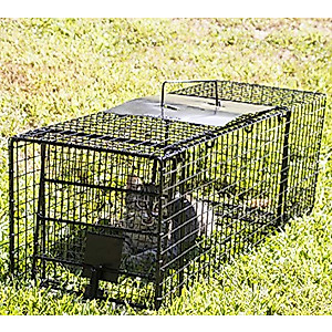 Humane Way 914048 Live Animal Trap, Medium 32"x12"x10"