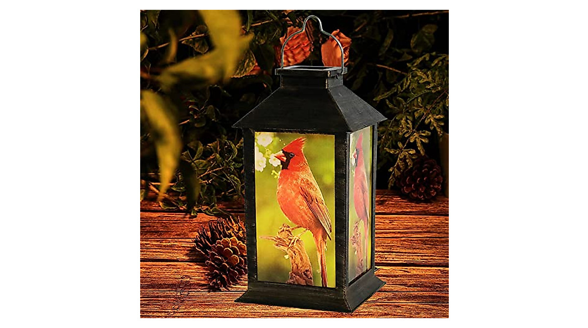 KYAYE Outdoor Solar Red Bird Lamp - Stylish & Waterproof