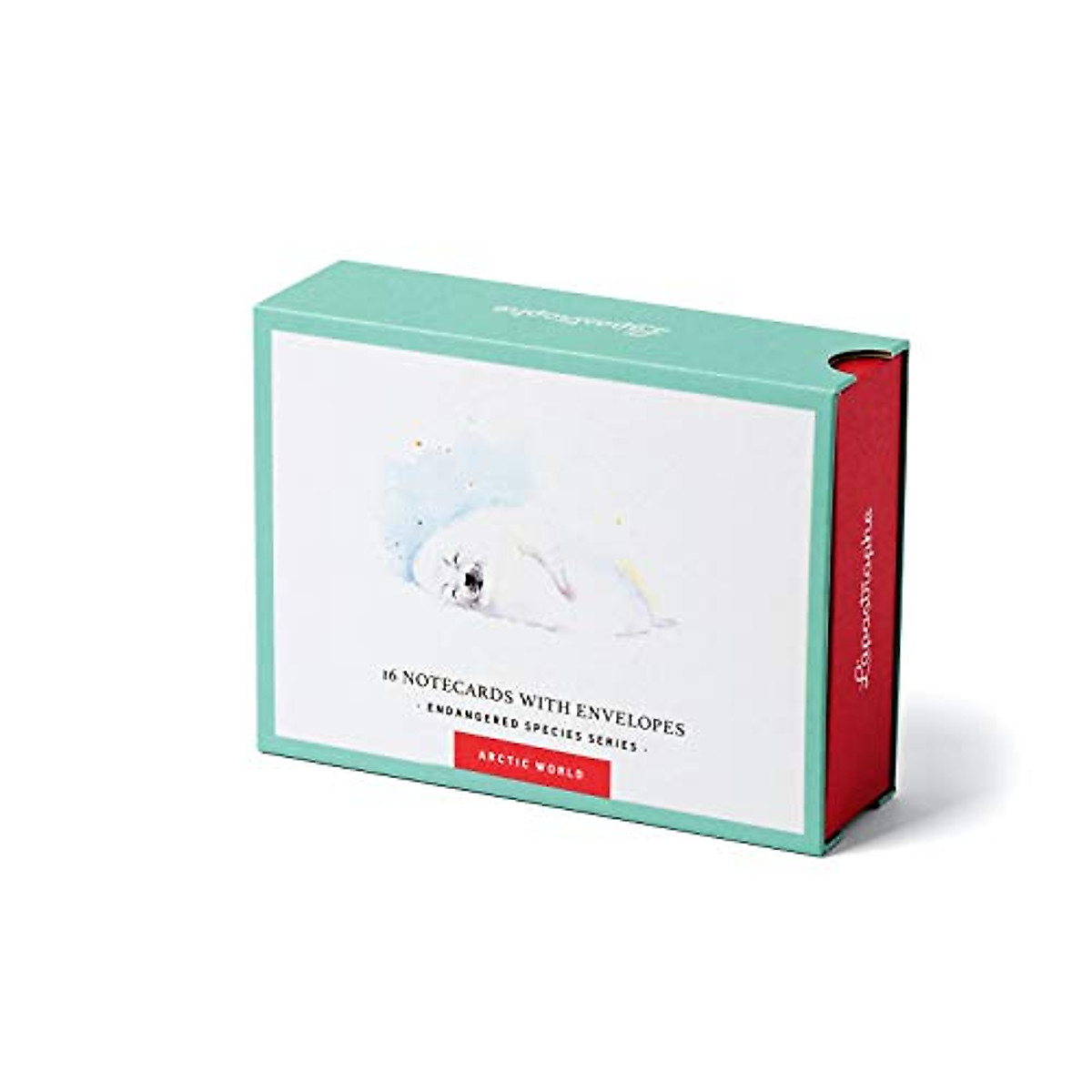 L'apostrophe Polar Bear, Seal, Fox, Snowy Owl Note Cards - Blank Inside with Envelopes - Greeting Notecards - Watercolor Set of Winter Animals  - Thank You Notes