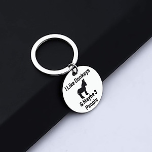 BEKECH Funny Donkey Gift Donkey Keychain I Like Donkeys & Maybe 3 People Donkey Theme Keychain Gift for Donkey Lovers Animal Lovers Horse Gift for Men Women (silver)