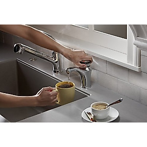 InSinkErator Invite Contour Instant Hot Water Dispenser System - Faucet & Tank, Chrome, H-CONTOUR-SS
