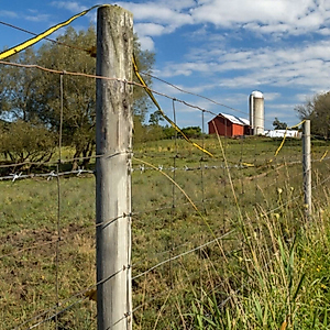 Electric Fence Energizer Plus 250,Electric Fence Charger PE2 0.10 Joule,Livestock Fence Chargers for Containing Pets and Keeping Out Small Nuisance Animals