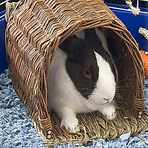 Ware Manufacturing Hand Woven Willow Twig Tunnel Small Pet Hideout, Large