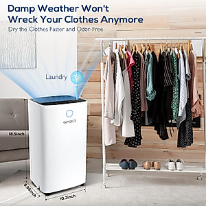 Dehumidifier for Home and Basements 25 Pints for 1500 Sq.Ft, 68oz(0.53gallon) Water Tank Capacity with Drain Hose, Intelligent Humidity Control, Childlock, Laundry Dry