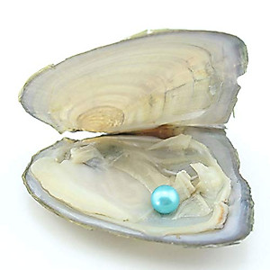 10PC Freshwater Pearl Cultured Love Wish Pearl Oyster with Round Pearl Inside for Pearl Gift Fun for Children Family Friends Party Oyster with Pearls Inside(7-8mm, 10PC)
