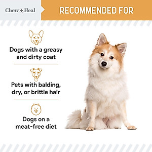 Chew + Heal Labs Omega Salmon Jerky Dog Treats - 5 oz of Soft Salmon Jerky for Skin and Coat - Made with Wild Alaskan Salmon, Flaxseed, Oat Flour, and More - Made in The USA