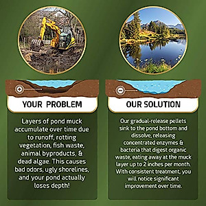 Pond Sludge Remover – 5 Pounds Beneficial Pond Bacteria & Enzyme Treatment - 100% Natural Muck Digester – Safe for All Aquatic Life and Recreation - Made in The USA