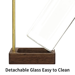 Sunolga Incense Holder with Removable Glass Ash Catcher Mess, Modern Incense Holder for Sticks with Alligator Head Metal Clip Brass Incense Burner Holder for Zen, Yoga, Spa, Meditation and Home Decor