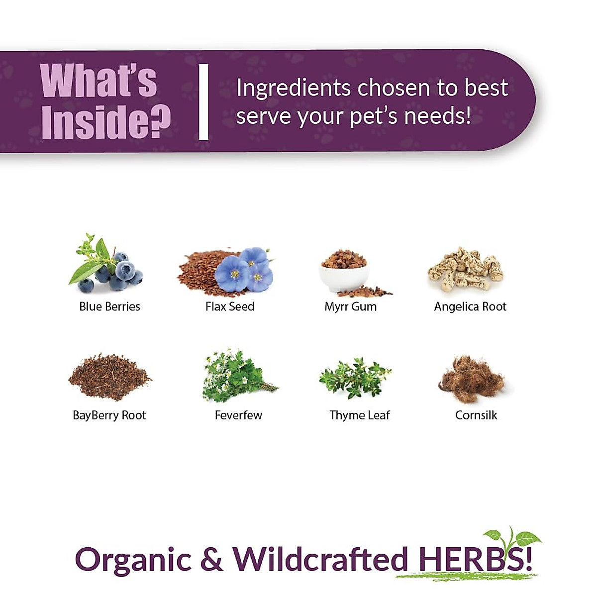 Amber NaturalZ Pet C&C Herbal Supplement for Dogs, Cats, Birds, Guinea Pigs, and Rabbits | Pet Herbal Supplement for Healthy Sinus | 1 Fluid Ounce Glass Bottle |Manufactured in The USA