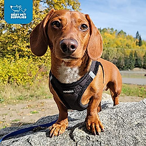 Voyager Step-In Plush Dog Harness – Soft Plush, Step In Vest Harness for Small and Medium Dogs by Best Pet Supplies - Black Plush, S (Chest: 14.5 - 16")