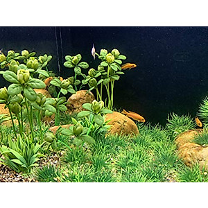 BEGONDIS Artificial Green Water Plants Flower Set 18 Pcs, Fish Tank Aquarium Decorations, Made of Soft Plastic