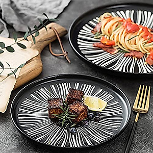 ROLTIN Dessert Dishes Plates Creative Porcelain Dinner Plates Set of 4 Black and White Multiple Stripes Patterns Ceramic Desserts Plate for Steak Salad. Microwave Dishwasher Saf