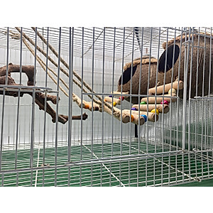 kuminamoja Coconut Bird's Nest with Ladder for Parrots Parakeet Conures Cockatiel and Small Animals (Large)