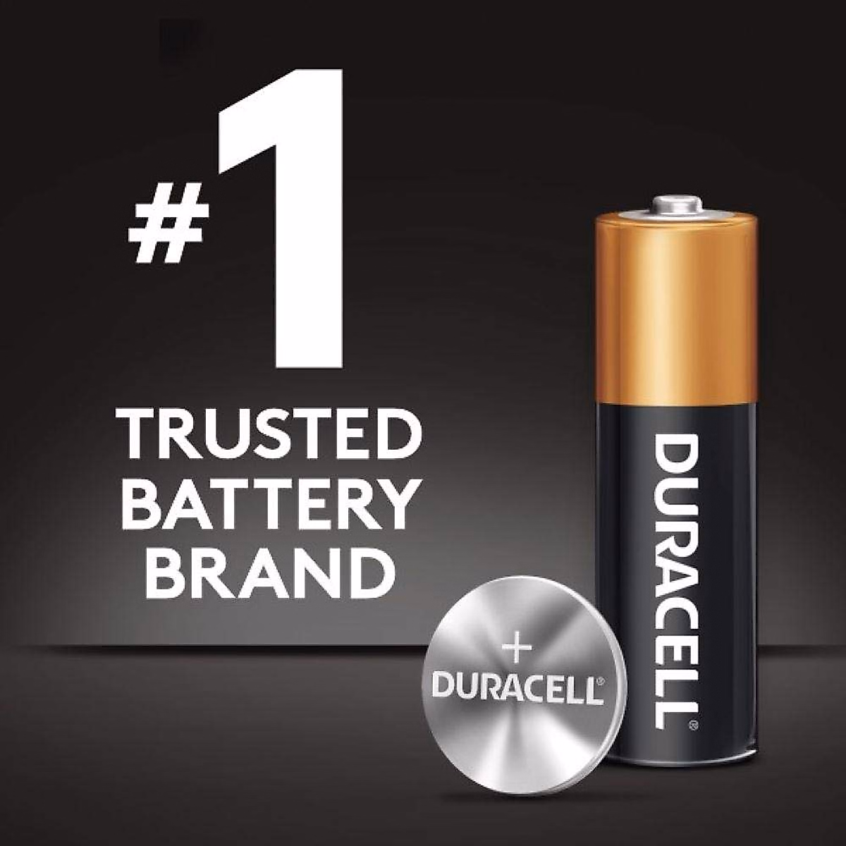 Duracell Coppertop Alkaline AA Battery (18-Pack)