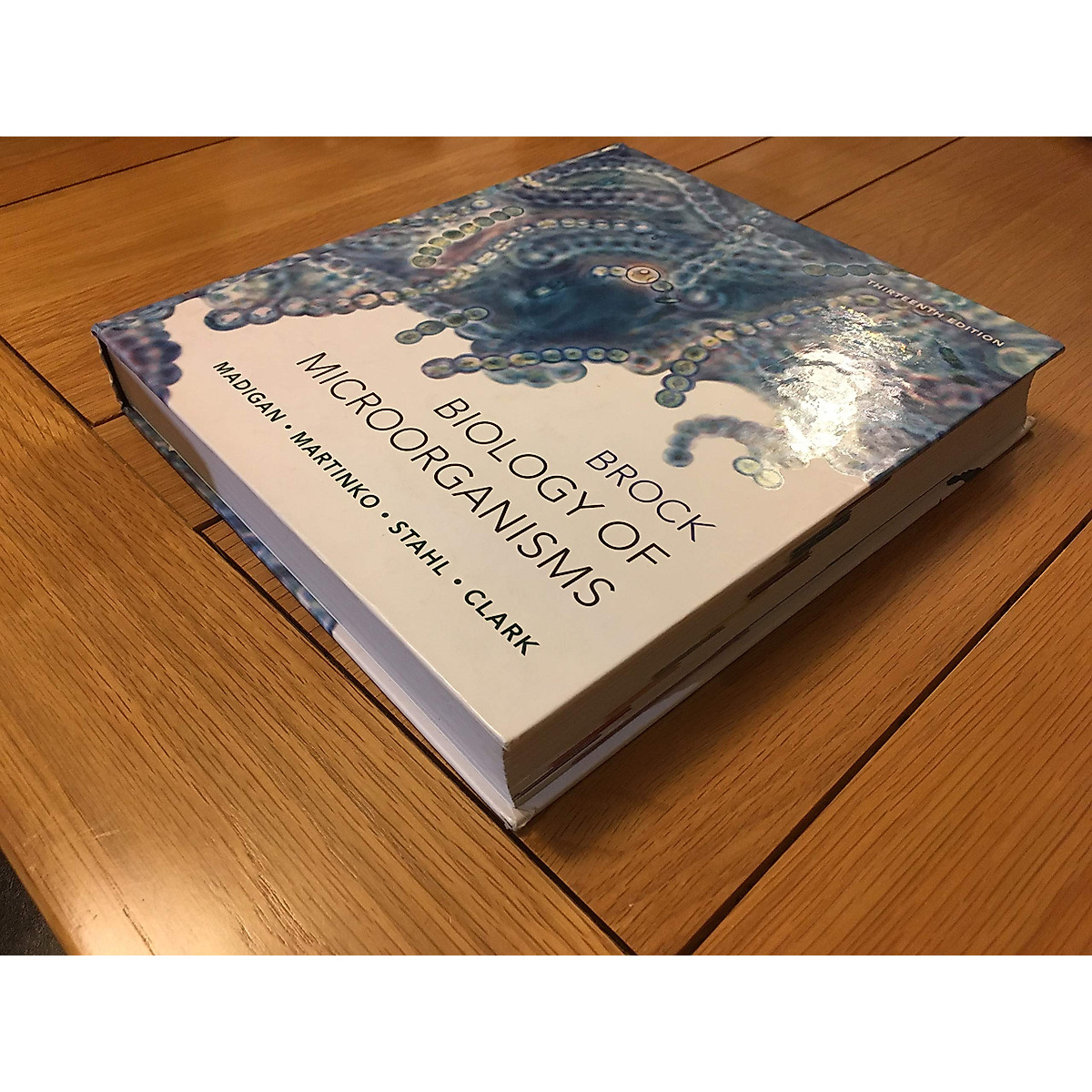 Brock Biology of Microorganisms (13th Edition)