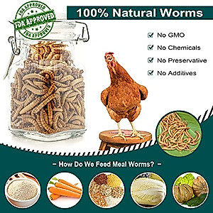 Euchirus 6LBs Non-GMO Dried Mealworms,High-Protein Larvae Treats Feed Molting Supplement for Birds Hens Ducks etc,Large Bulk Meal Worms Birds Chicken Food