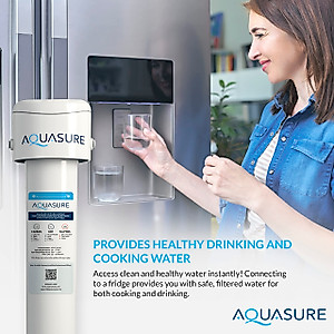 Aquasure Fortitude Compact 10K Gallons Under Sink Multi-Purpose Replacement Filter with Carbon/KDF/Siliphos Anti-Rust Media, Reduces Chlorine, Chemicals, Scale, Bad Taste & Odor for AS-FC50-CKS