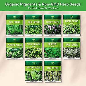 REALPETALED Indoor Herb Garden 10 Non-GMO Herbs– Complete Kitchen Herb Garden with 10 Reusable Pots, Drip Trays, Soil Discs and Seed Packets