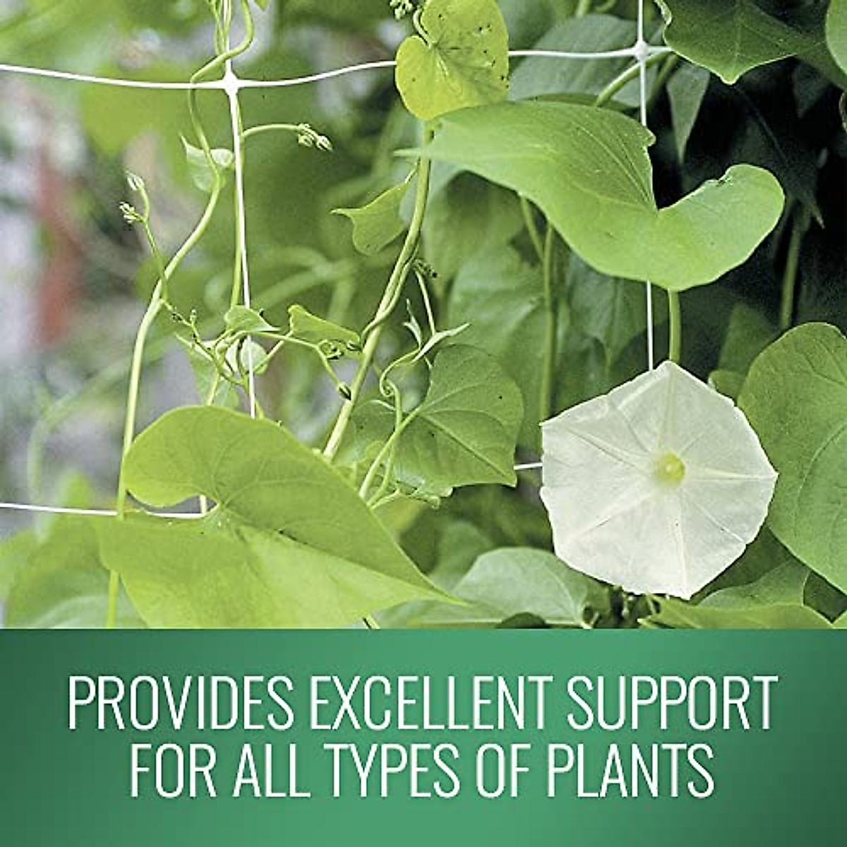 DL Wholesale VineLine Trellis Netting Garden Plant Plastic Trellis Net Roll for Climbing Plants Grow Support Fruits Vegetables, White, 5 ft x 30'