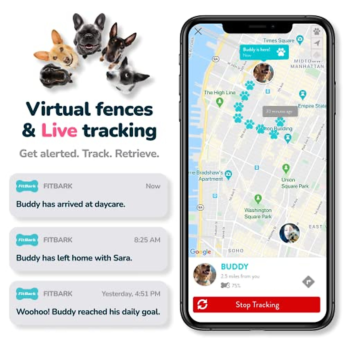 FitBark GPS Dog Tracker 2nd Gen (2022) | Health & Location Pet Tracking Smart Collar Device | 4G LTE Multi-Carrier Verizon, AT&T & T-Mobile US Coverage | Small (16 g) & Waterproof | iPhone & Android