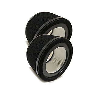 Nispira Replacement Filter L True HEPA + Activated Carbon Pre Filter Compatible with GermGuardian Air Purifier AC4200W FLT4200, 2 Packs