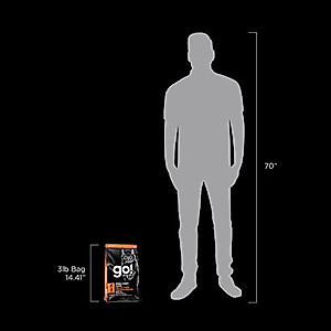 GO! SOLUTIONS Skin + Coat Care - Grain Free Dry Cat Food, 3 lb - Salmon Recipe - Cat Food for All Life Stages - with Probiotics