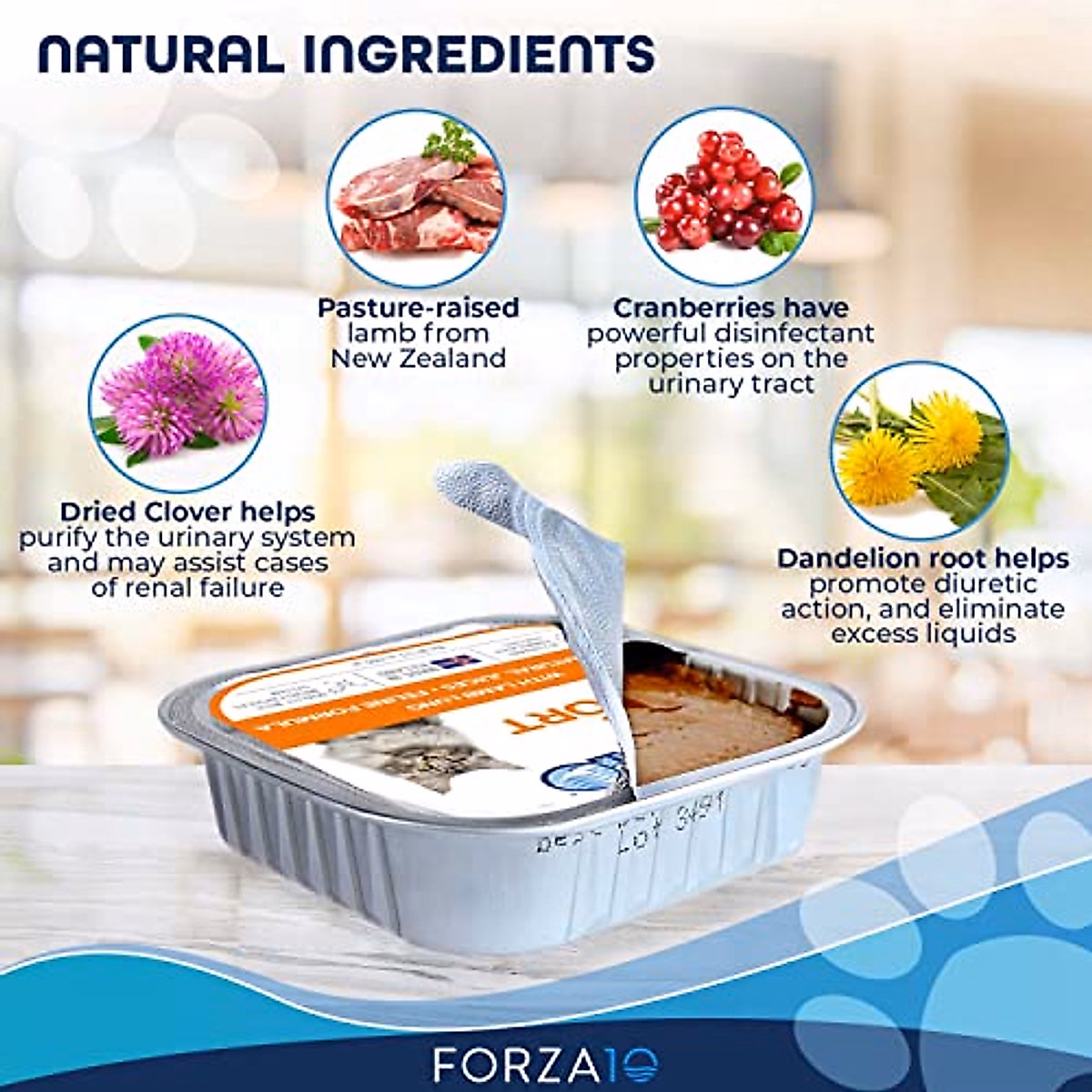 Forza10 Wet Renal Care Cat Food with Lamb, 3.5 Ounce Can Kidney Support and Renal Health, 12 Pack