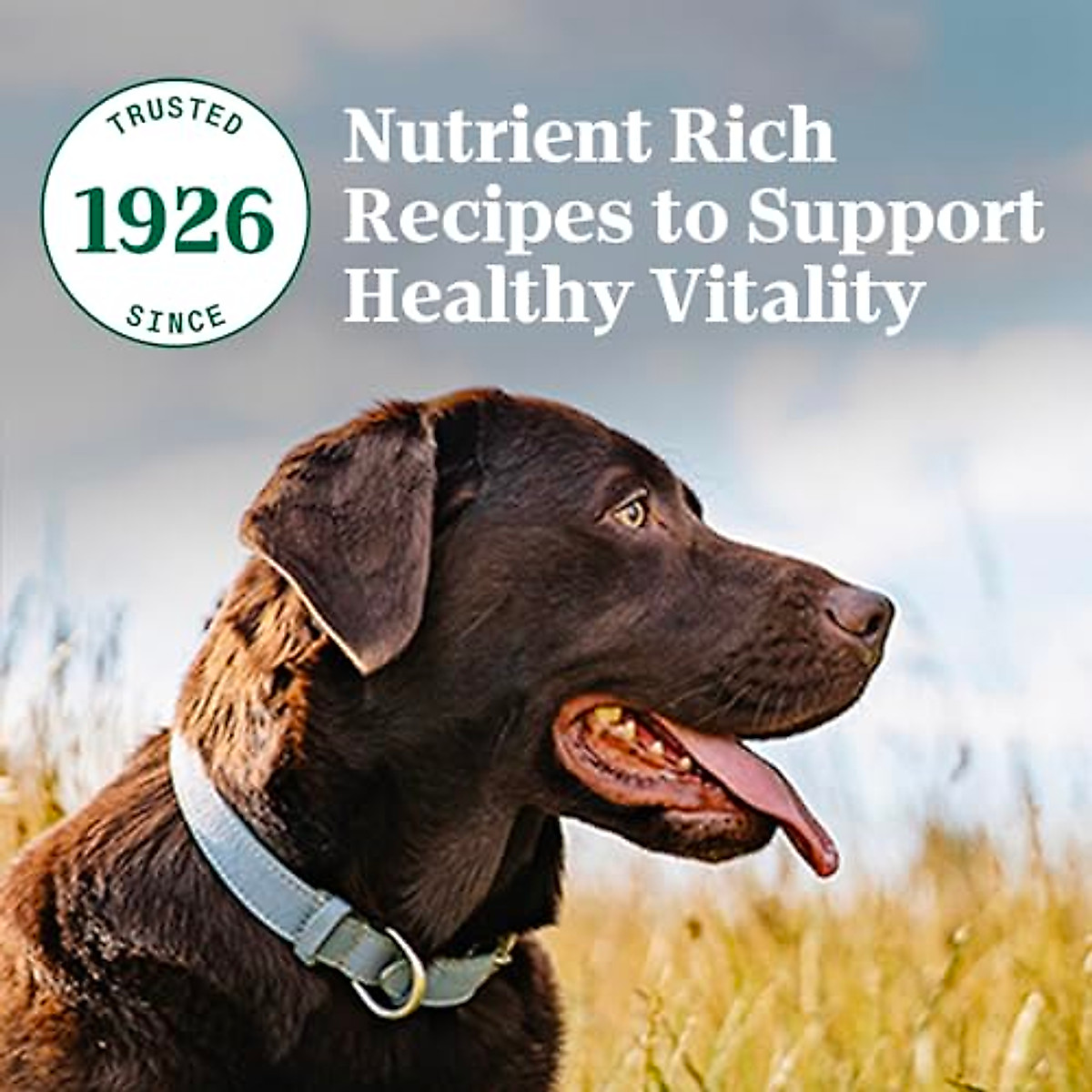 Nutro Natural Choice Adult Large Breed Dry Dog Food, Chicken and Brown Rice Recipe, 36 lb. Bag