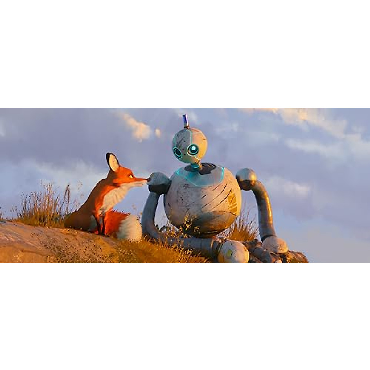 The Wild Robot - Collector's Edition [DVD]