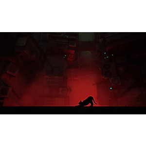 Stray - PlayStation 5