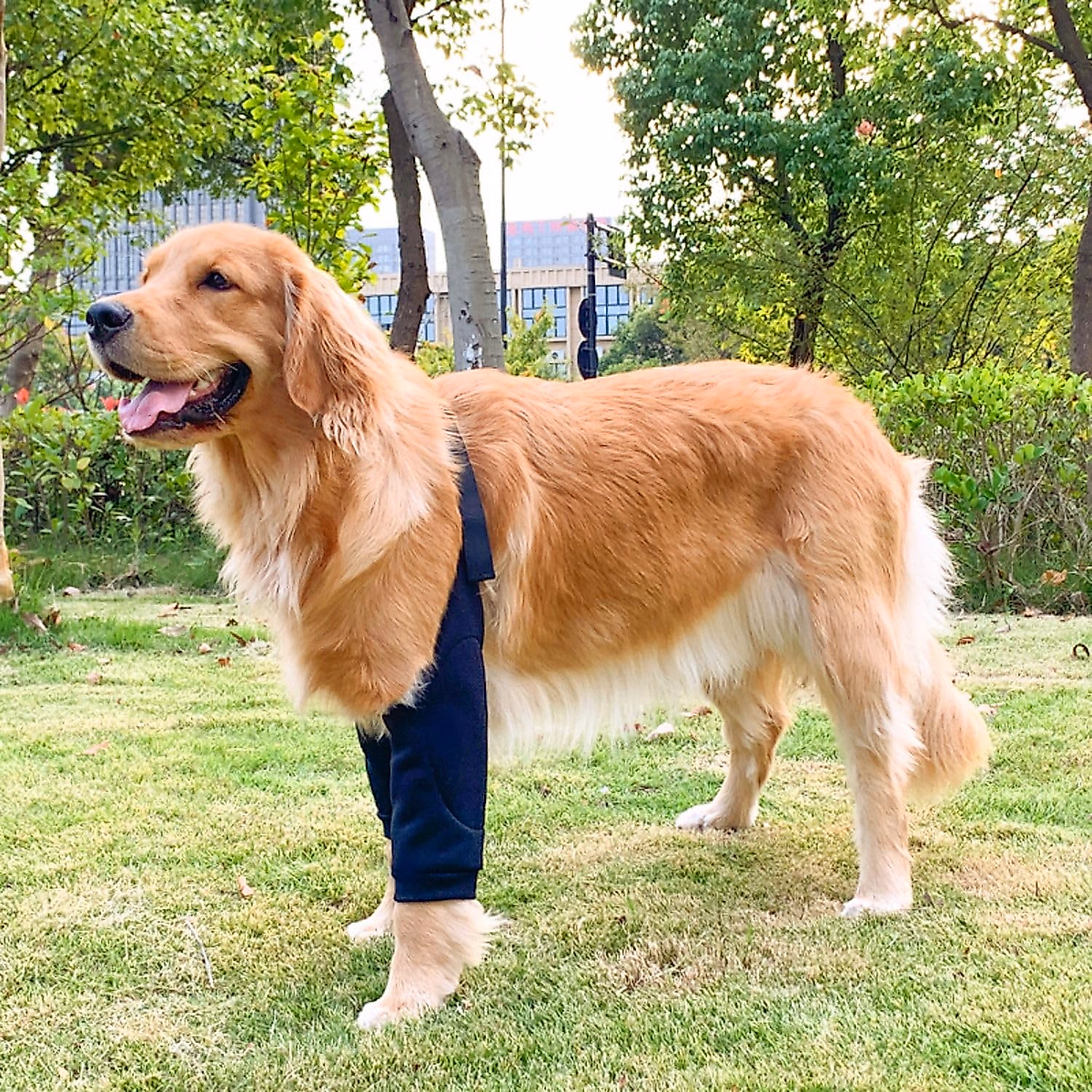 HDKUW Dog Elbow Protector, Dog Leg Recovery Sleeve for Prevent Licking Wound, Joint Sleeves with Mesh Pad for Medium Large Dogs Thickened Black 4XL