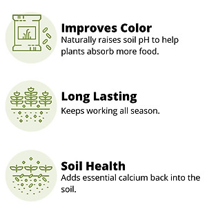 Earth Science Fast Acting Lime - Instantly Raise pH of Soil & Reduce Nutrient Runoff for Improved Growth & Color - Long Lasting Lawn Care with Calcium (2.5lb)