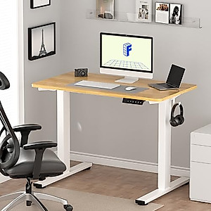 FLEXISPOT EN1 One Piece Standing Desk, 48 x 24 Inches Height Adjustable Desk Electric Stand up Desk Home Office Table for Computer Laptop (White Frame + Maple Desktop)