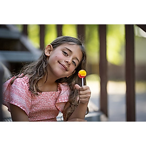 Bulk Flat Lollipops Individually Wrapped Candy - 10 lb. Assorted Candy Flavors of Mixed Fruit Suckers - Party Favors for Kids - Bulk Candy, Fine Swirl Lollipop Candy for Adults & Kids in Businesses & Schools Safety Suckers - Perfect for Parties Holidays a