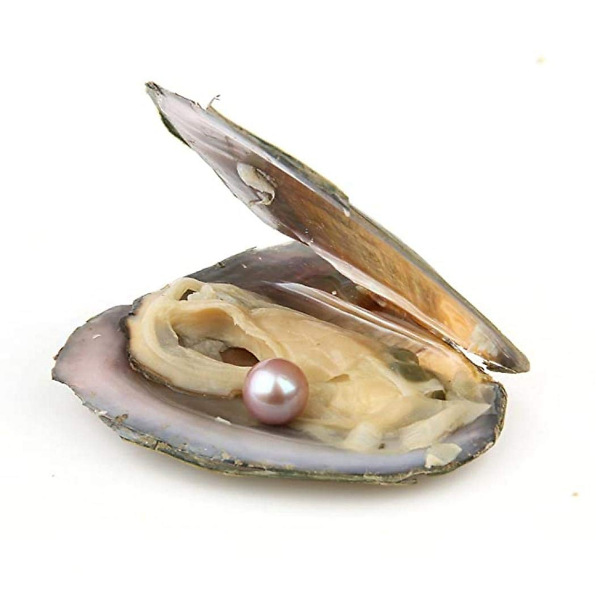 7-8mm Pearl Oyster Cultured Love Wish Round Pearls Oysters with Pearls Inside Mixed Color 5Oyster/lot +1 Necklace(Box Package)