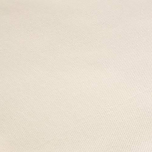 Amazon Basics Conscious Series Cool-Touch Rayon Bamboo Mattress Protector - Queen