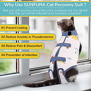 SUNFURA Cat Recovery Suit, Breathable Cat Surgery Recovery Suit Kitten Onesie for Cats After Surgery, Cat Surgical Spay Suit Male Female E-Collar Alternative Anti Licking Wounds, Blue L