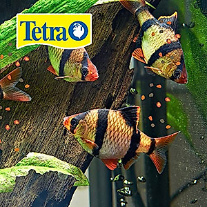 Tetra 77181 TetraFin Goldfish Crisps, 7.76-Ounce , 1-Liter