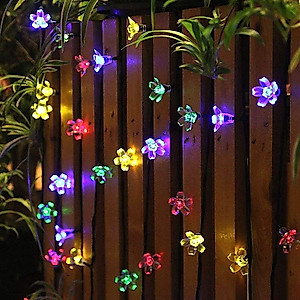 Solar Light String, Outdoor Waterproof Light String Garden Christmas Decoration Lights 39 feet 100 LED Solar Cherry Peach Flower String Light, Suitable for Home, Garden, Terrace, Wedding and Party
