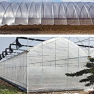 Doniks Clear Greenhouse Film Plastic Sheeting 6 Mil Thickness,Greenhouse Cover Polyethylene Plastic,5 Year UV Resistant Film Hoop Green12 x25ft,for Gardening, Farming, Agriculture, Garden
