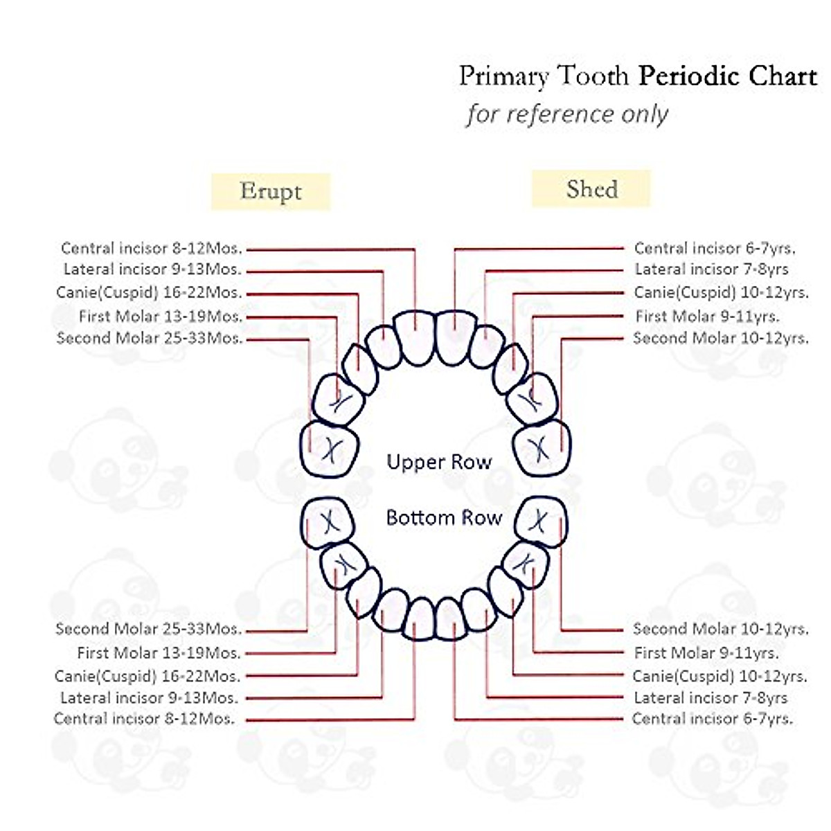 PAMBO Baby Tooth Fairy Keepsake Box- First Teeth and Curl Keepsake Box | Tooth Boxes Saver & Holders for Lost Teeth Kids-Boys Blue 1 Count (Pack of 1)
